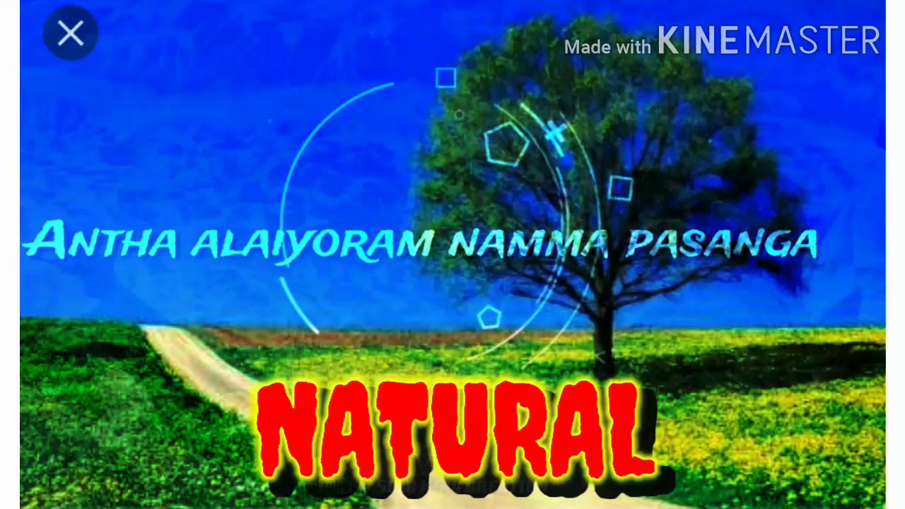 Whatsapp natural status💖 - YouTube