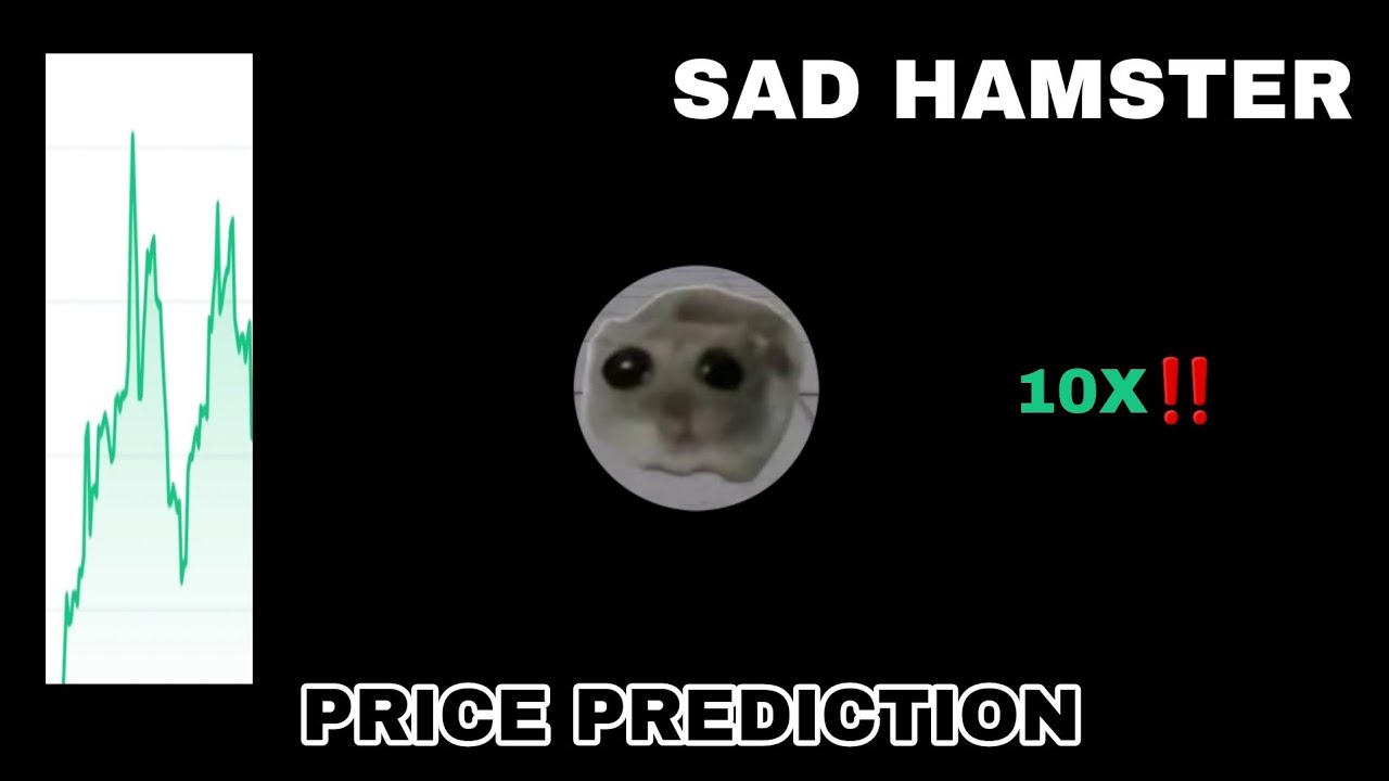 SAD HAMSTER TOKEN TO THE MOON‼️ SAD HAMSTER (HAMMY) PRICE PREDICTION ...