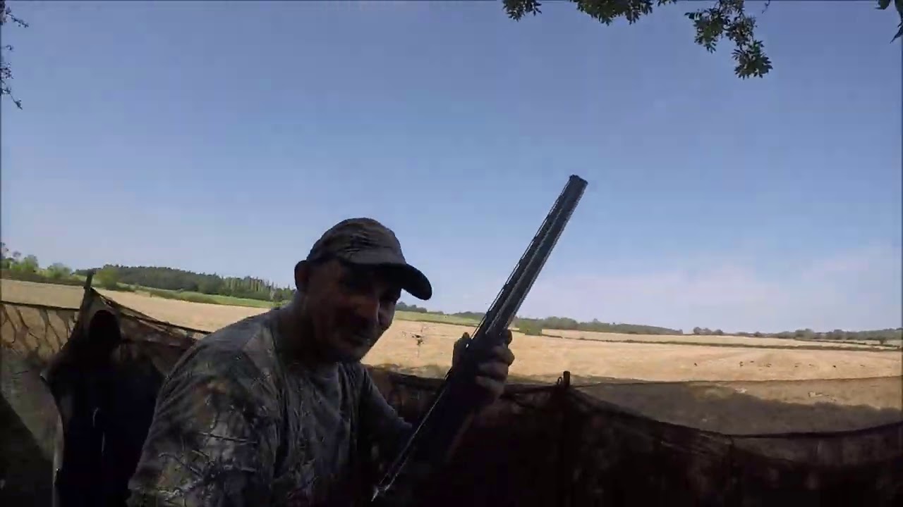 Woodpigeon Shooting 2020 Warwickshire Stubble - YouTube