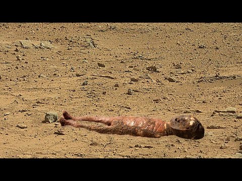 Perseverance Rover New Video Footage Sol-903 || Mars New Video || Mars 4k Footages - YouTube