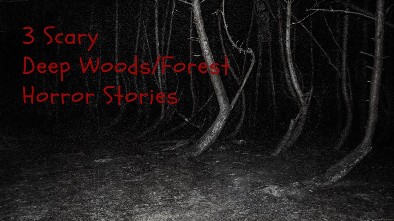 3 Scary TRUE Deep Woods/Forest Horror Stories - YouTube