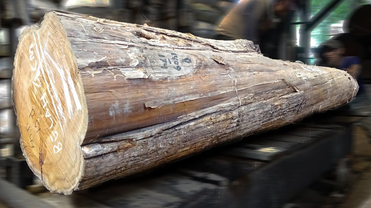 Serat Kayunya Batik Doreng kaya Macan!!! Proses Cepat Belah Kayu Jati ...