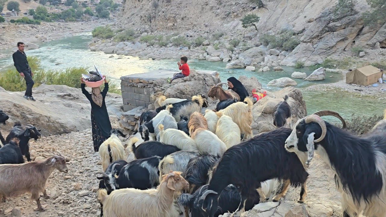 Nomadic Life: Nomadic Morning Routine 🌅 | Nomadic Life with Animals 🐐 ...