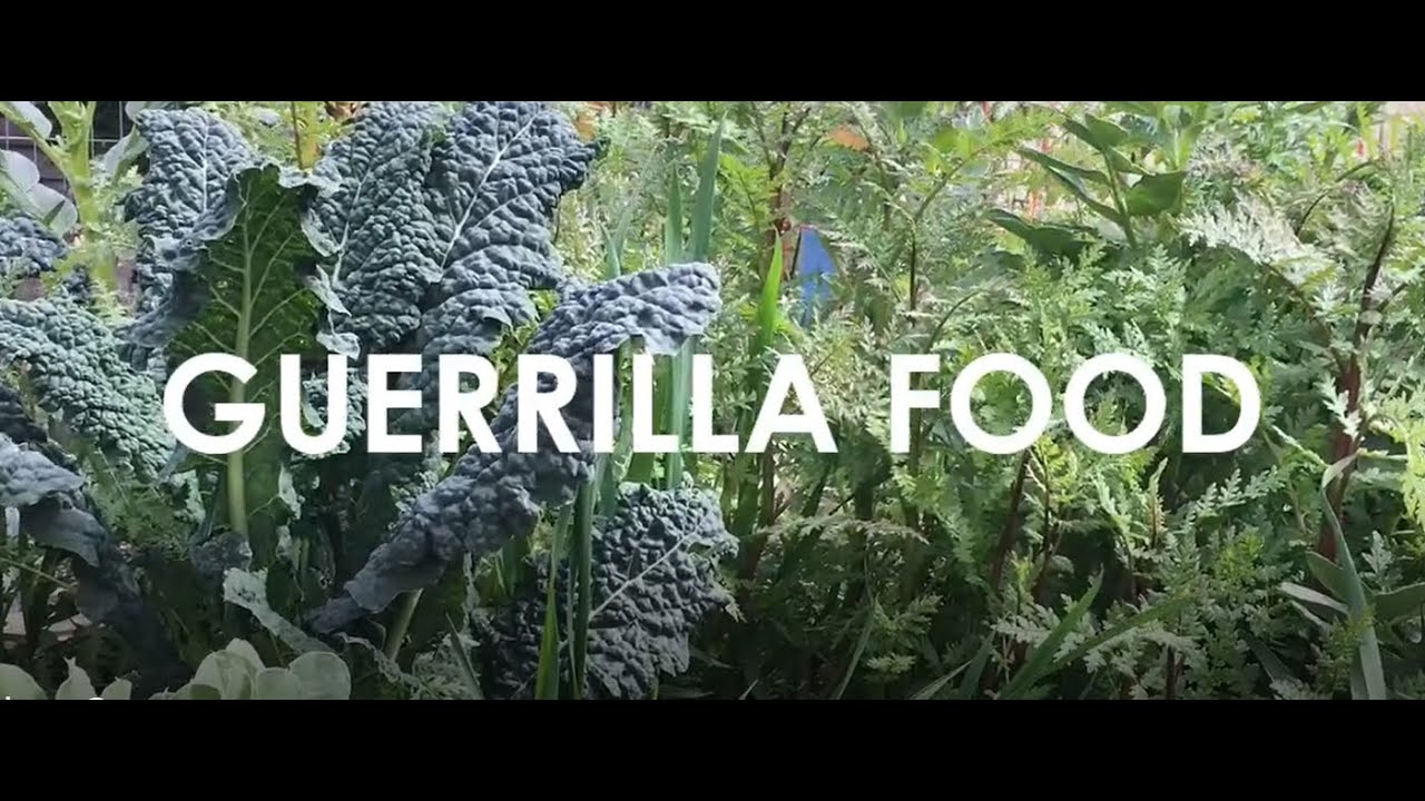 Guerrilla Food in the City - The Nature of Radical Urban Food ...