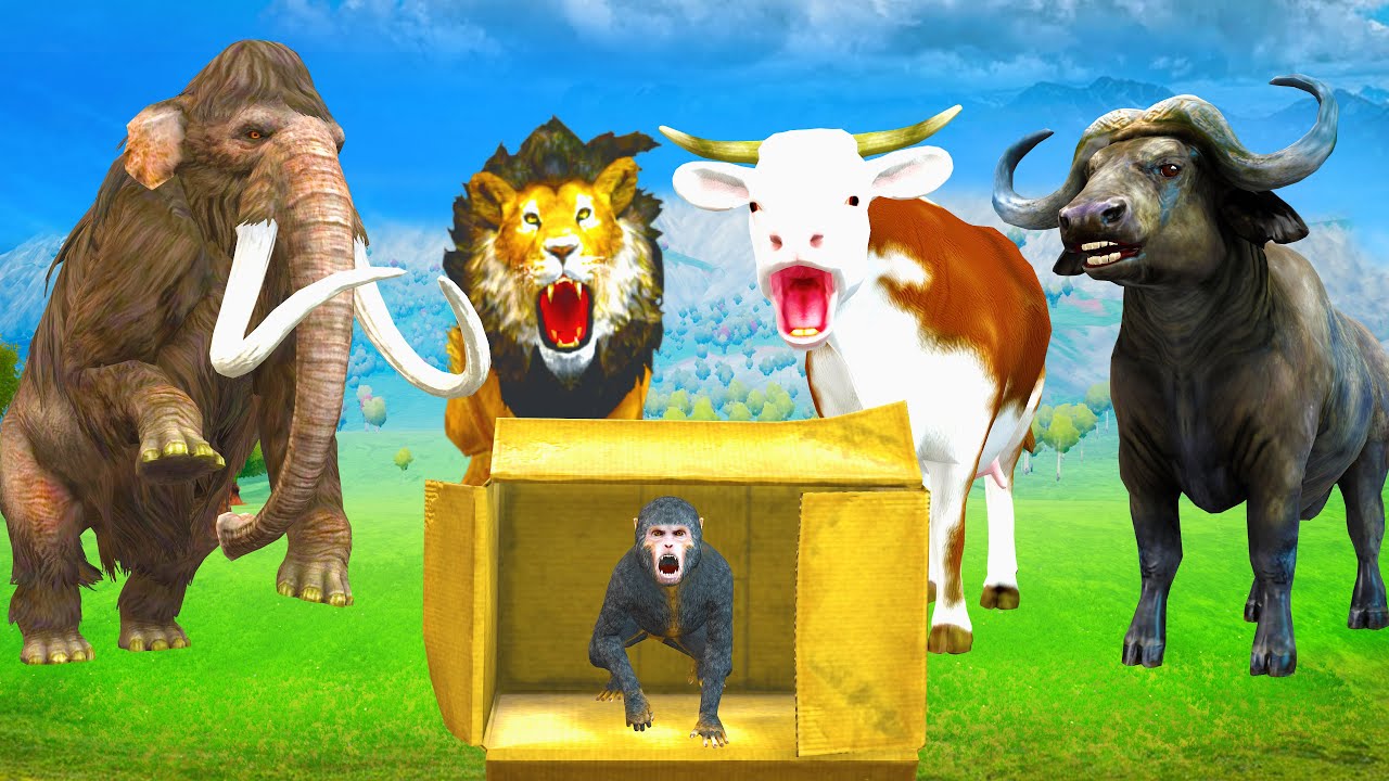 EXTREME HIDE AND SEEK IN BOXES CHALLENGE with Elephant Mammoth Lion Cow ...