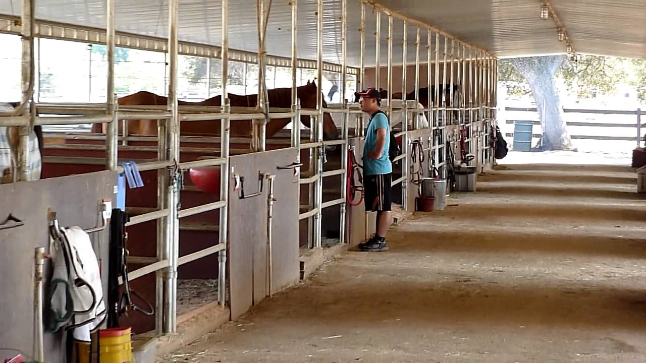 2013-7-20 Visit Stanford University Equestrian horse barn - YouTube