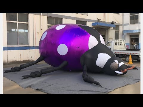 Purple Inflatable Balloon ladybug Inflatables Insects For Park ...
