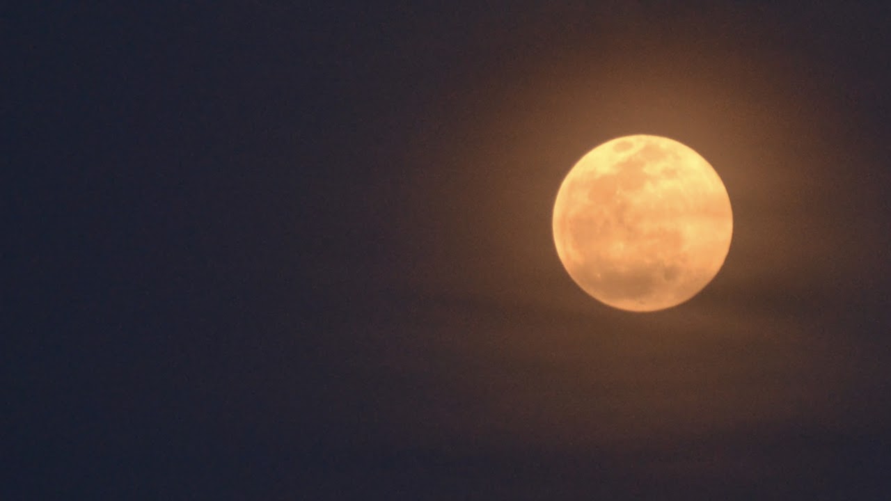 Shane Durkin Live Stream - YouTube