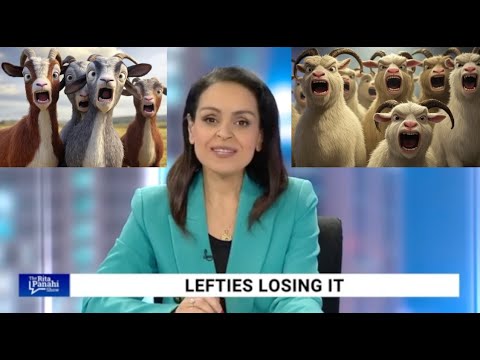 Lefties Losing It! March 12! #maga #trump #MSNBC #libs #lefties #rosie ...