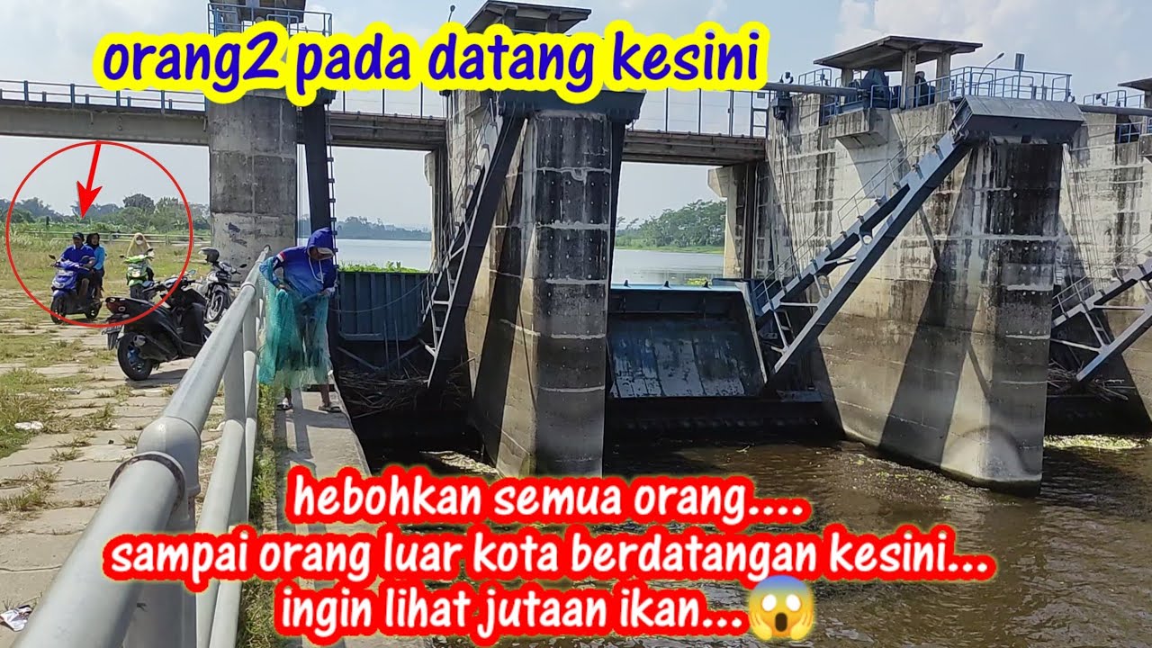 HEBOHKAN SEMUA ORANG DARI LUAR KOTA,jala ikan di pintu air dapat ...