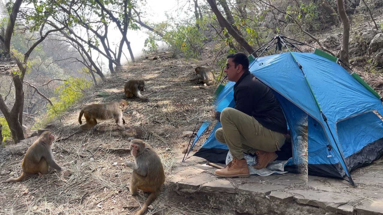 Monkeys Gang k Sath Camping Challenge - YouTube