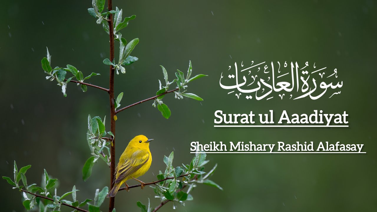 Surat ul Aadiyaat 3x chapter no#100 (beautiful recitation by sheikh ...