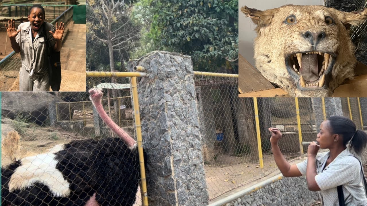 A TOUR OF OLUSEGUN OBASANJO PRESIDENTIAL LIBRARY & WILDLIFE PARK - YouTube