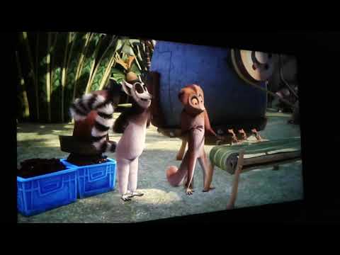 Gecko workers