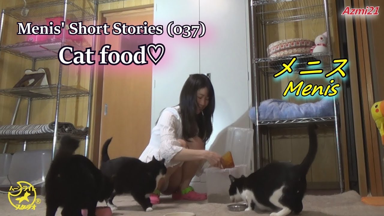 Menis' short storise (037) Cat food - YouTube