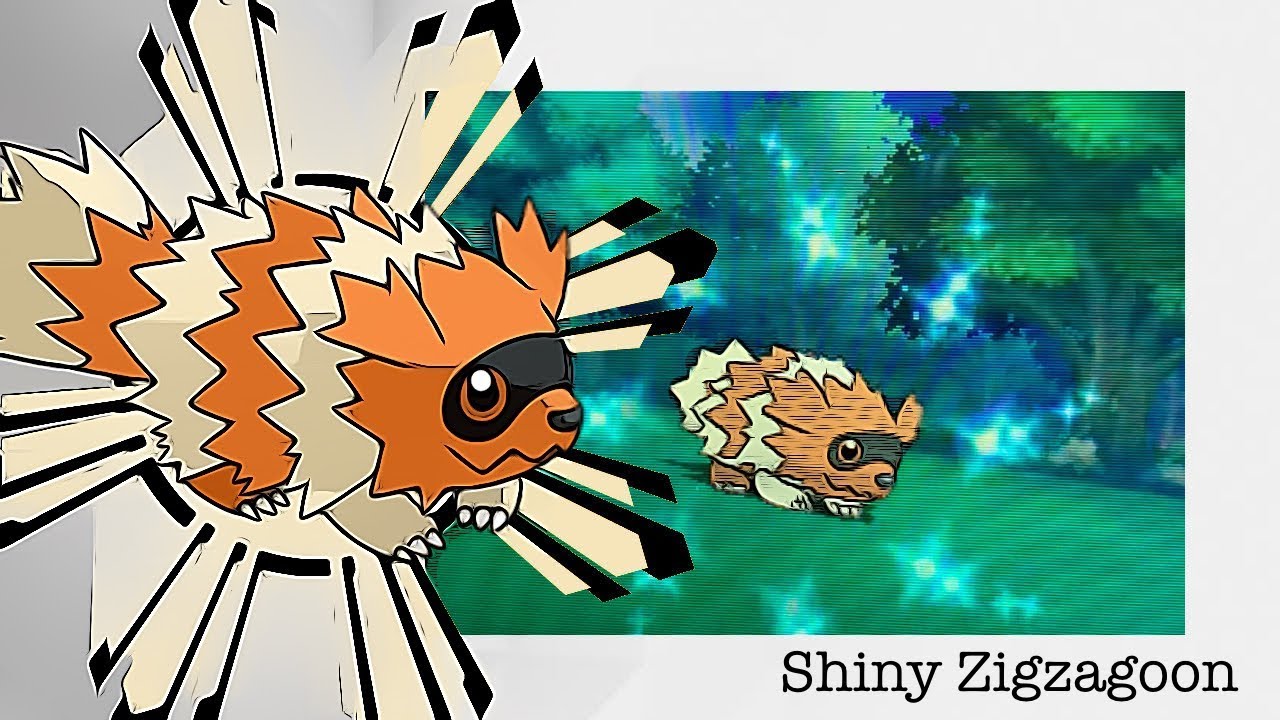 Second Shiny In 1 Stream Shiny Zigzagoon Youtube
