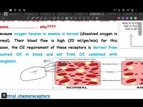 RESP Physio L3 Chemical control of breathing - YouTube