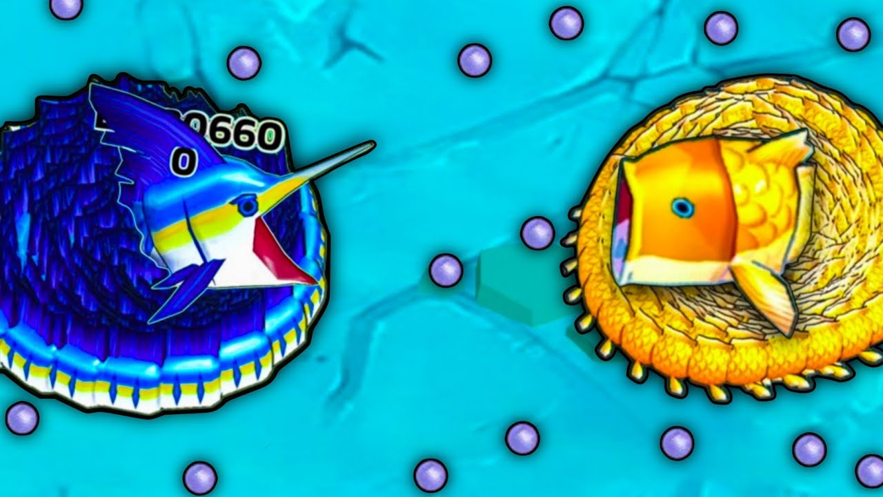 INSANE SNAKE CLASH GAMEPLAY – BIGGEST SNAKE WINS THE BATTLE - YouTube