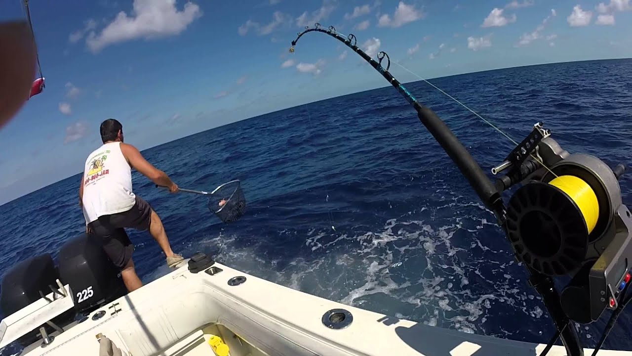 4th drop fish off hook.MP4 - YouTube