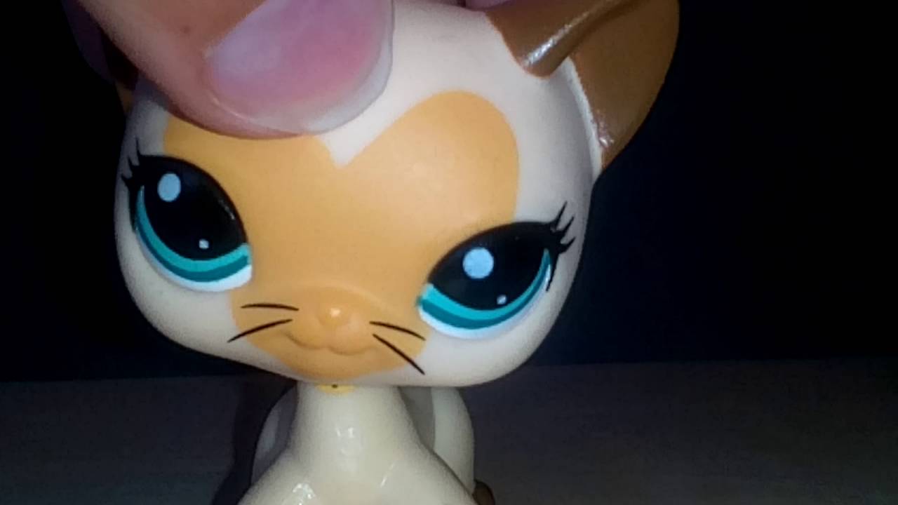 LPS - Co Vyměňuji Pouze Za Shc!😊 - YouTube