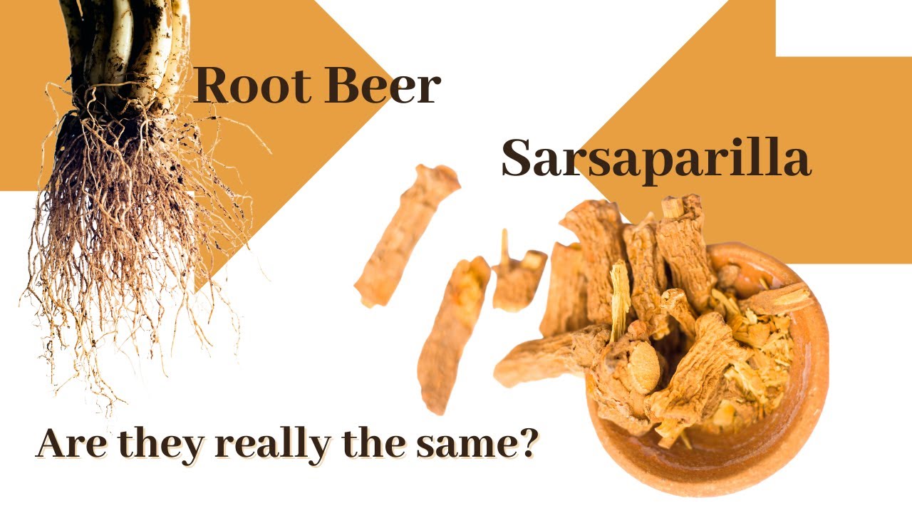 A brief thirst quenching history of Root beer and Sarsaparilla - YouTube