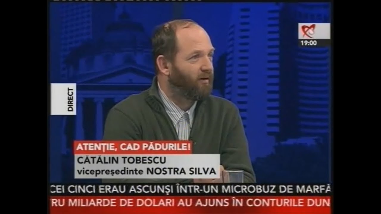 ATENTIE, CAD PADURILE! - Inregistrare Realitatea TV 28.03.2014 - YouTube
