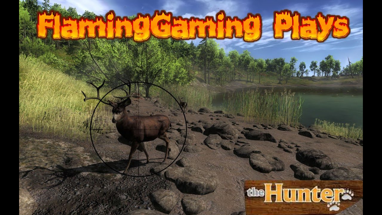 FlamingGaming pays Thehunter - realistic hunting game! - YouTube