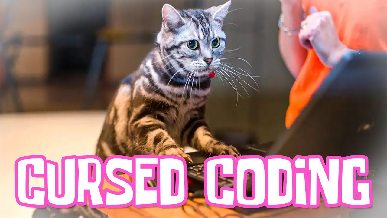 code my cat would probably write - YouTube