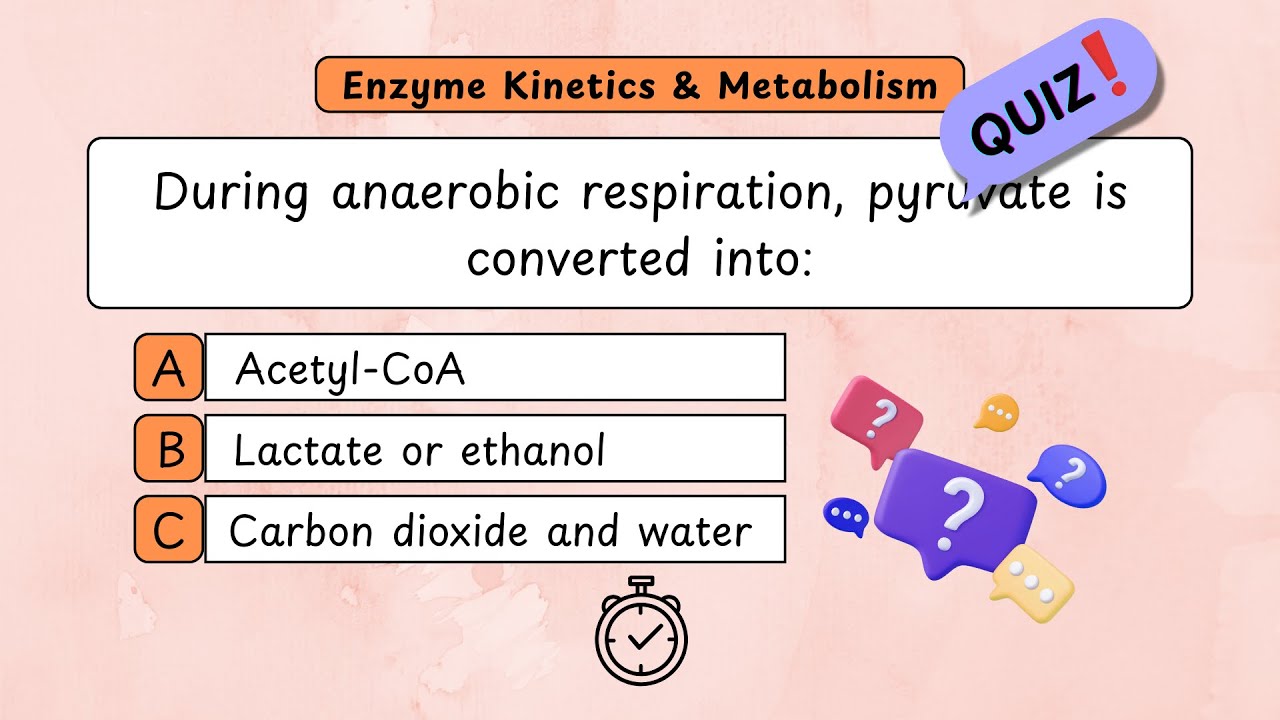 MCAT Biology Quiz: Enzyme Kinetics & Metabolism | 30 Concept-Based ...