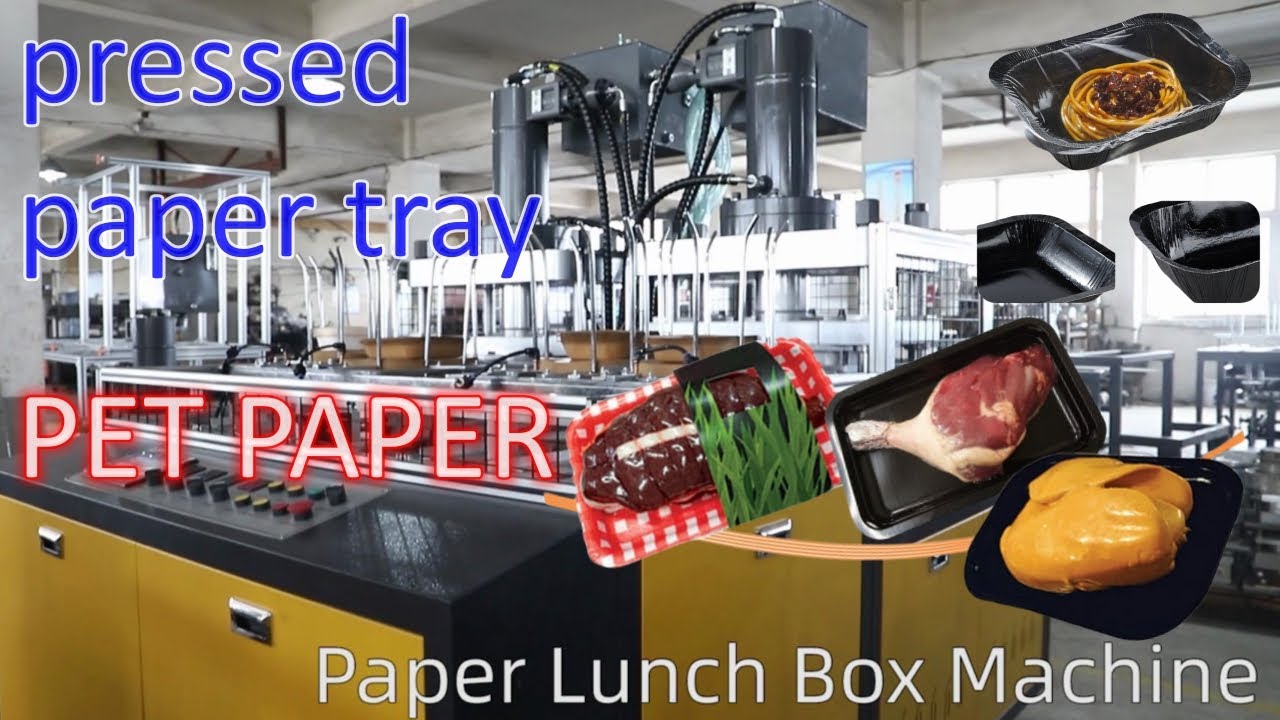 biodegraded cup bowl box making machine fast food container machinery ...