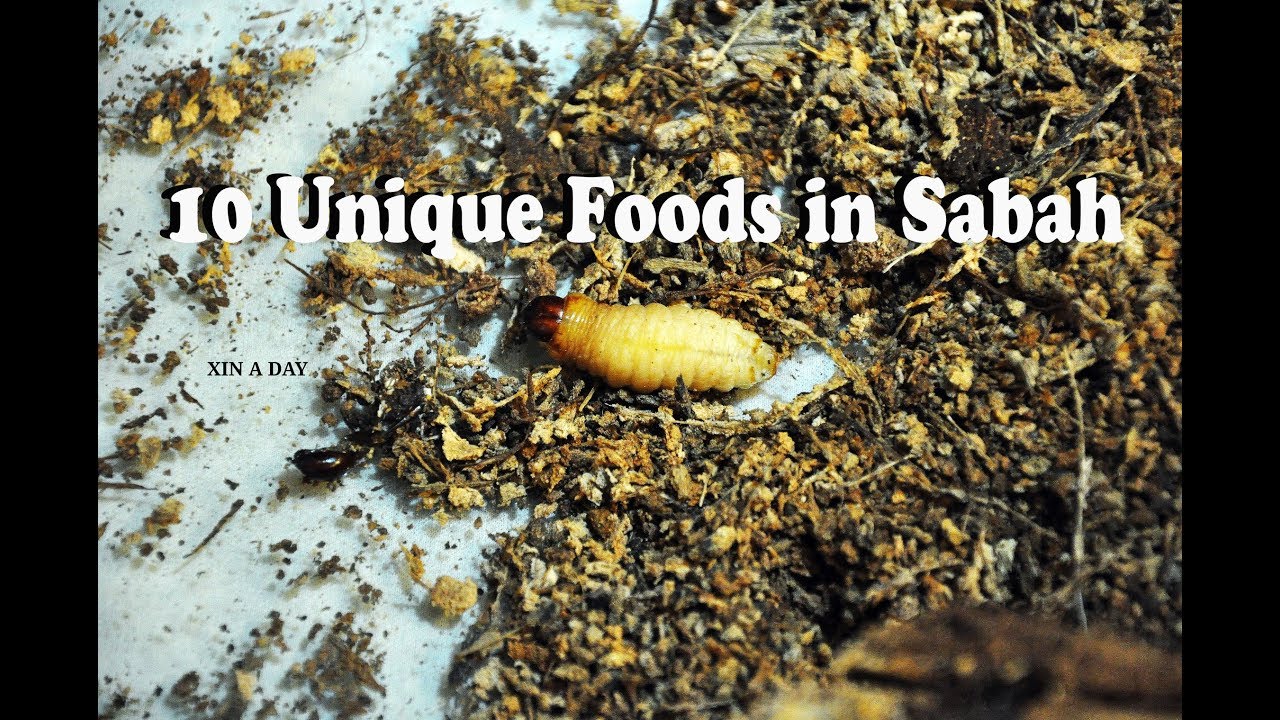 【沙巴 Sabah】10 Unique Foods in Sabah 10种沙巴新奇美食 - YouTube