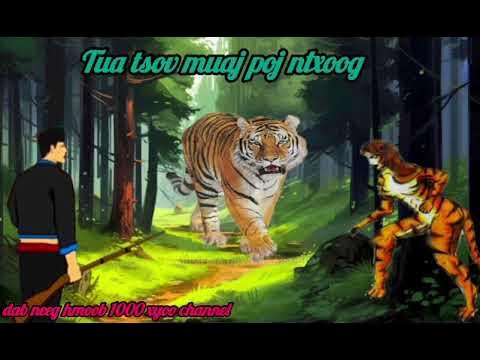 mu yos hav zoov tua tsov loj txaus ntshai heev - YouTube