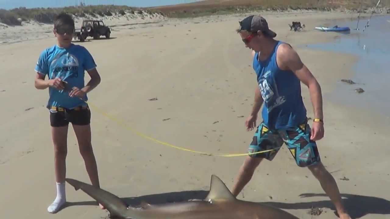 Beach Shark Fishing! - YouTube