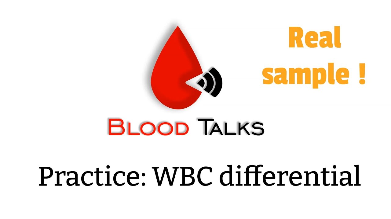 Practice WBC differential | real patient sample - YouTube