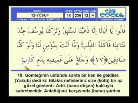 Abdülkadir Şehitoğlu Hatim Yusuf sayfa 236