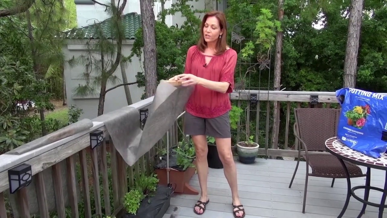 How to Plant Vegetables in a Container Garden | Elizabeth Watts from ...