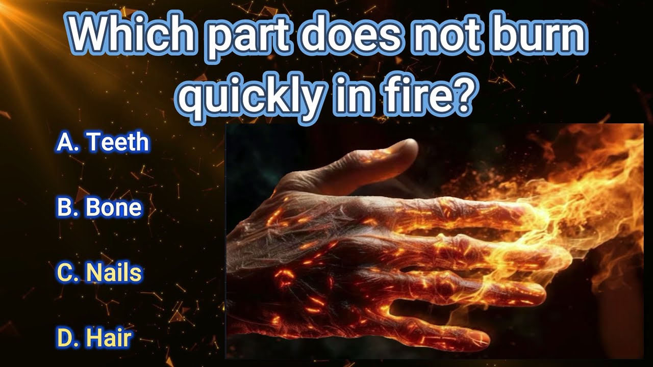 GK Questions | world | bird | burn | animal | shoes | ocean | park #gk ...