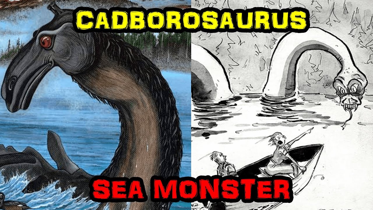 The Cadborosaurus - Mysterious Serpent-Like Sea Monster - YouTube