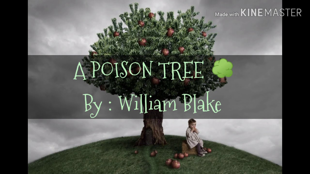A Poison Tree by William Blake - YouTube