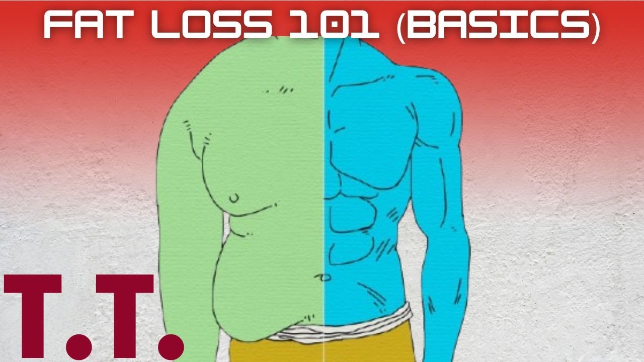 TUESDAY TALKS | Fatloss 101 | Basics of fat loss | How to lose fat? Fat ...
