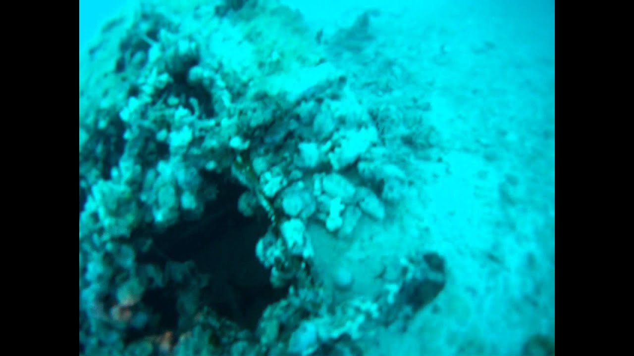 Adolphus Busch Wreck Florida Keys Dive 2 - YouTube