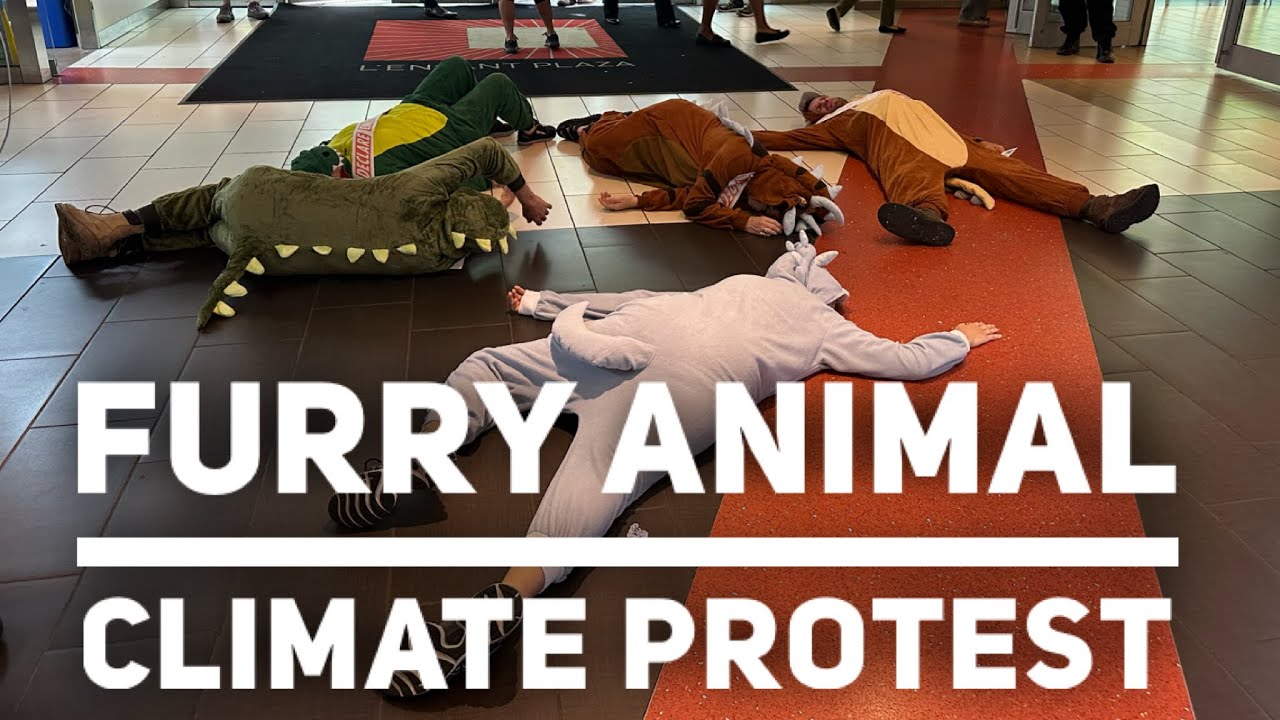 A furry protest in D.C. and MV-22 Ospreys over the River - YouTube