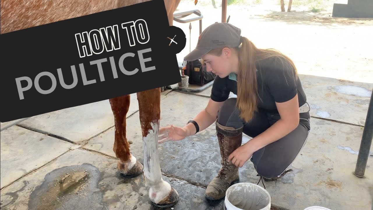 How To Poultice a Leg - YouTube