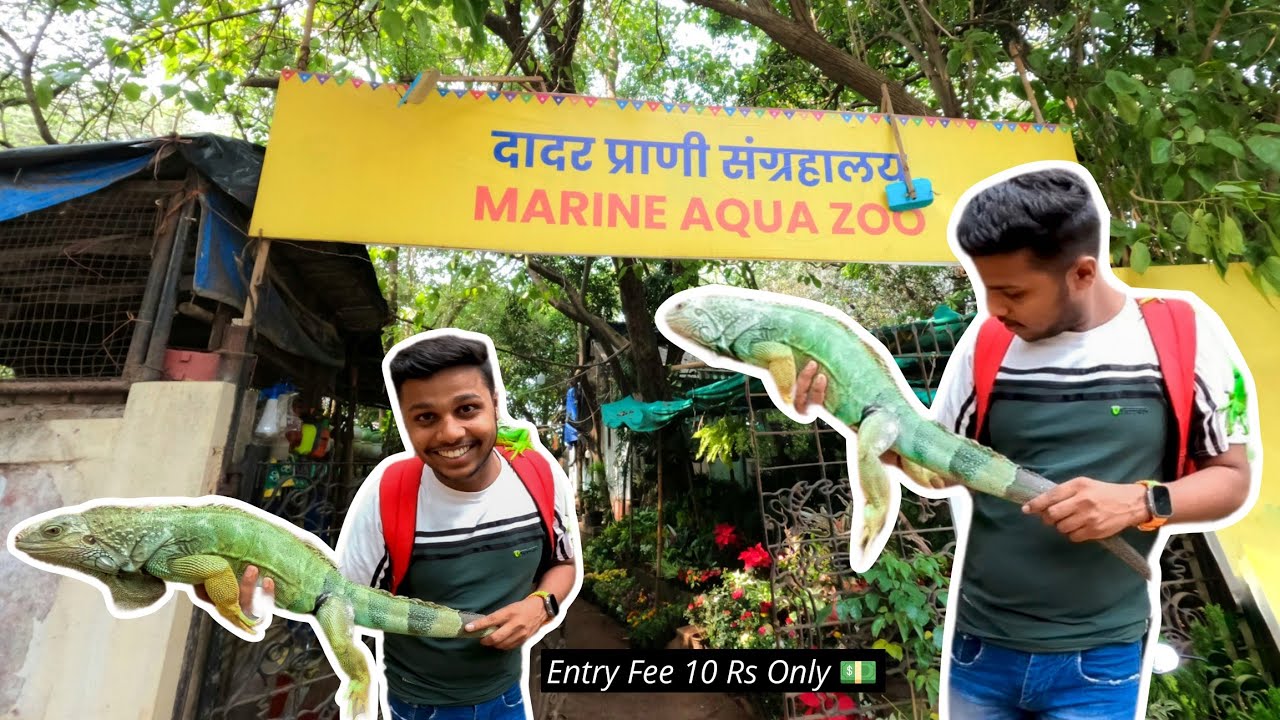 Marine Aqua Zoo Dadar | दादर प्राणी संग्रहालय | Full Information And ...