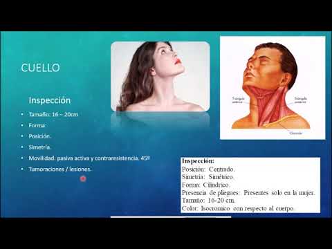 Semiología del Cuello. Ene 2021 - YouTube