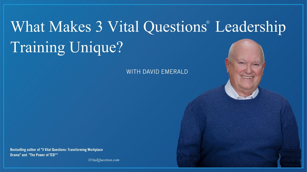 What Makes 3 Vital Questions Leadership Training Unique - YouTube