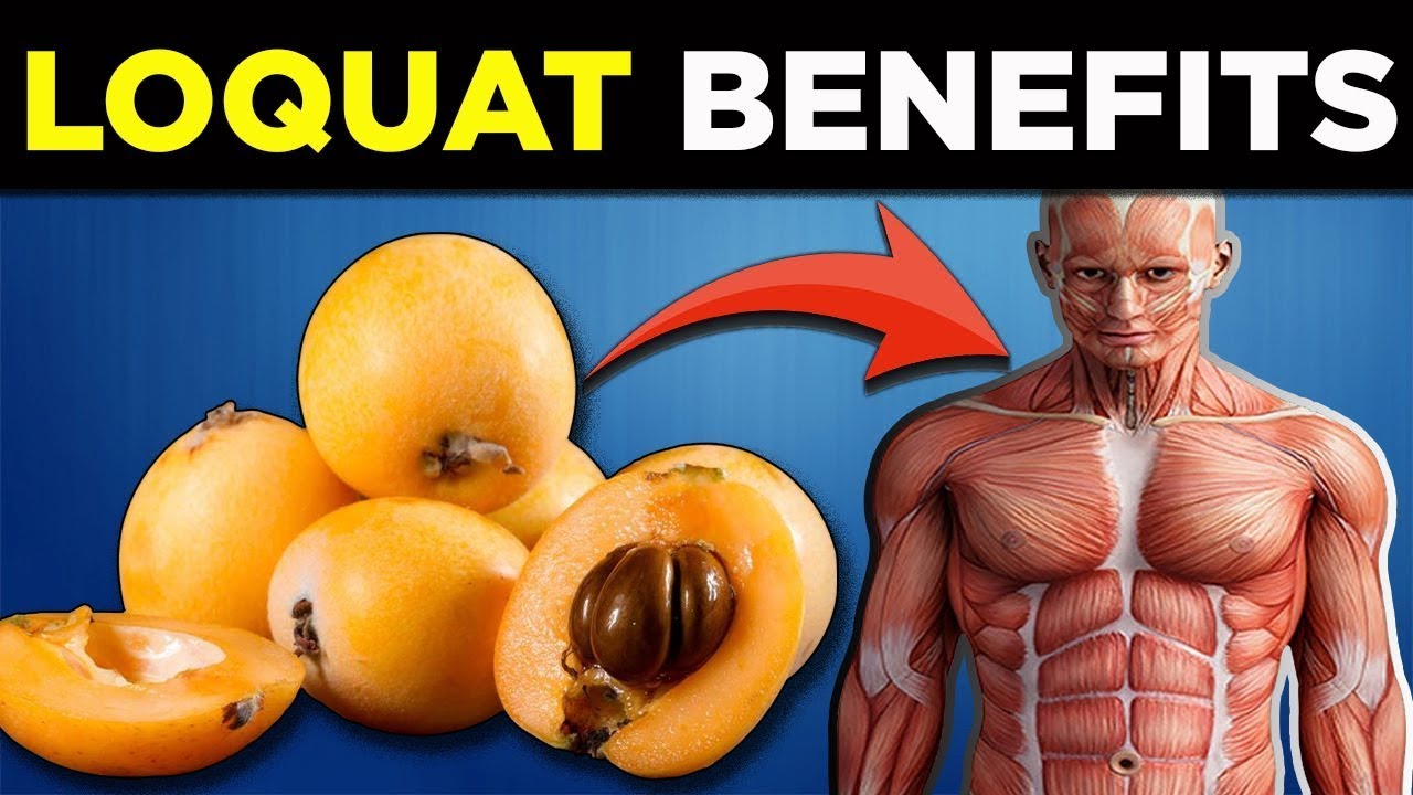 7 Surprising Health Benefits of Loquat Fruit - YouTube