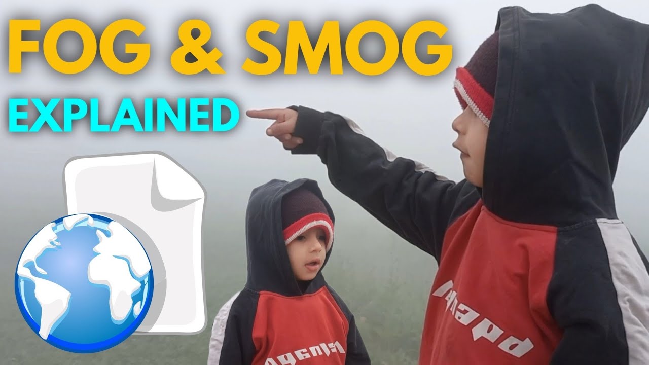 Different Between Fog And Smog? Practical Learning Video For Kids ...