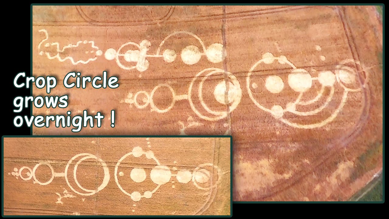 CROP CIRCLE GROWS OVERNIGHT to become the BIGGEST of 2016 !!! - YouTube