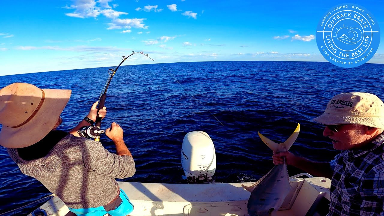 Huge Trevally, Snapper and Sea Perch using the easiest "Snell" and ...